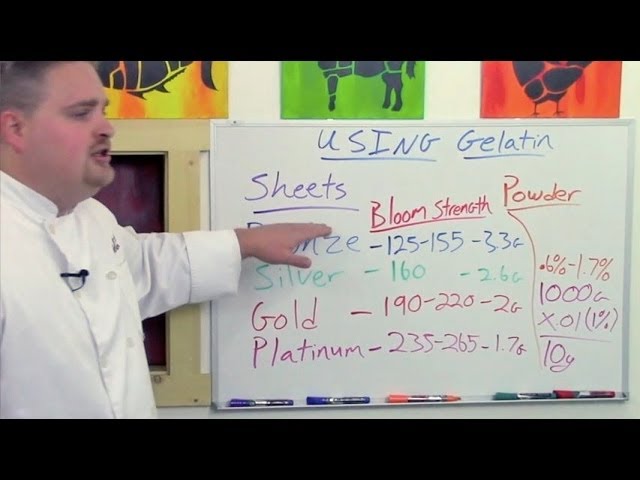 Understanding Gelatin: Sheets V. Powder Pt 1 Of 3 - The Chef's Circle